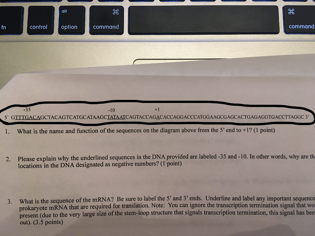 Solved alt fn control option command command -35 -10 +1 5' | Chegg.com
