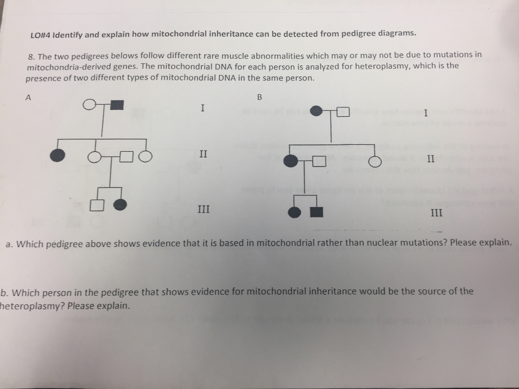 Solved LO#4 Identify and explain how mitochondrial | Chegg.com