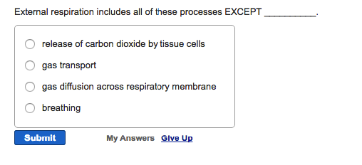 Solved External respiration includes all of these processes | Chegg.com