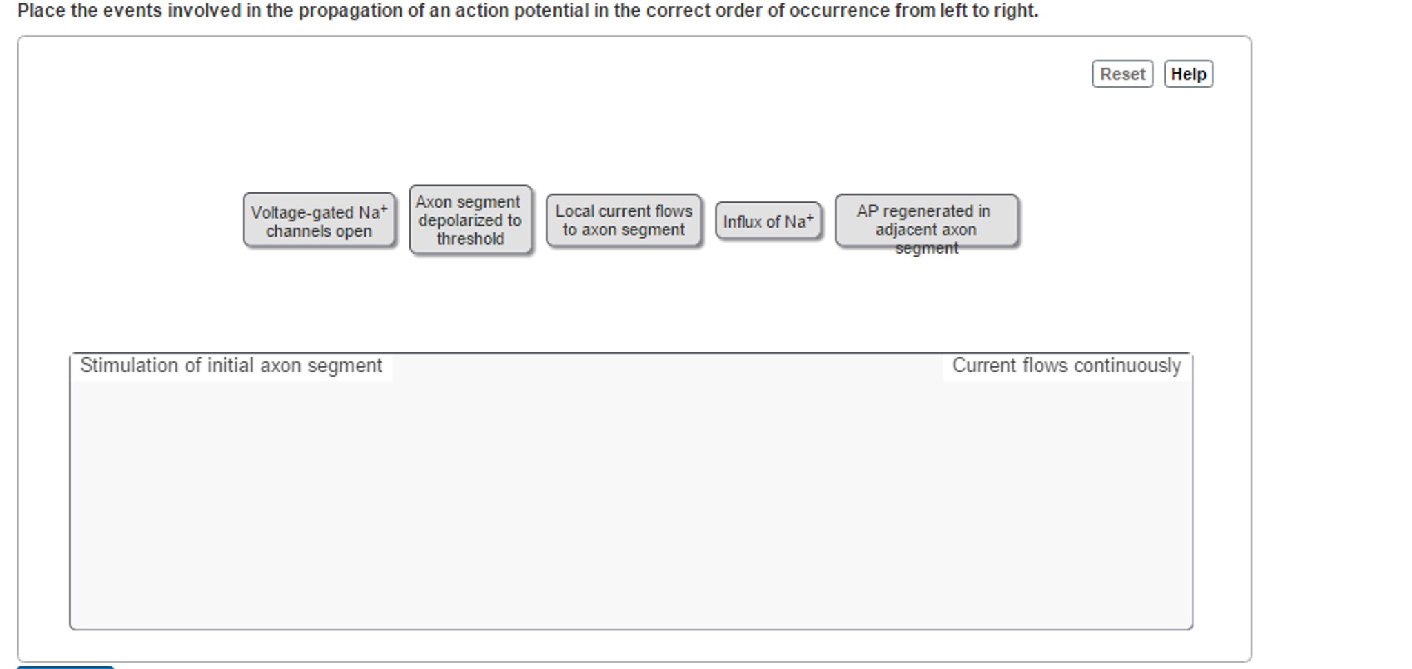 Place the events involved in the propagation of an | Chegg.com