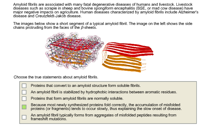Solved Amyloid fibrils are associated with many fatal | Chegg.com