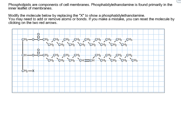 Solved Modify The Molecule Below By Replacing The X To Show 