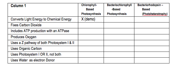 Solved Graphic Organizer to Summarize Photosynthesis. Please | Chegg.com