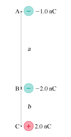Solved What is the magnitude of the net electric force on | Chegg.com