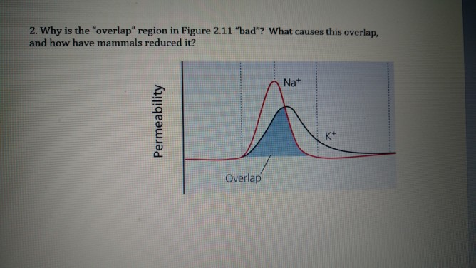 Solved 2. Why is the "overlap" region in Figure 2.11 "bad"? | Chegg.com