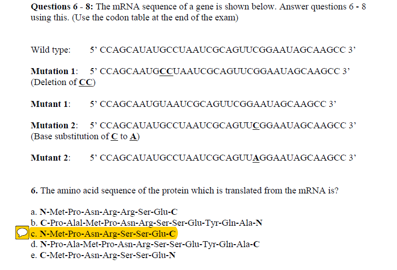 Solved Questions 6- 8: The mRNA sequence of a gene is shown | Chegg.com