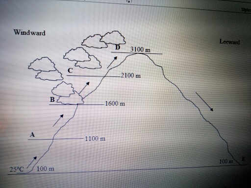Solved what was the temperature in Celsius for each letter | Chegg.com