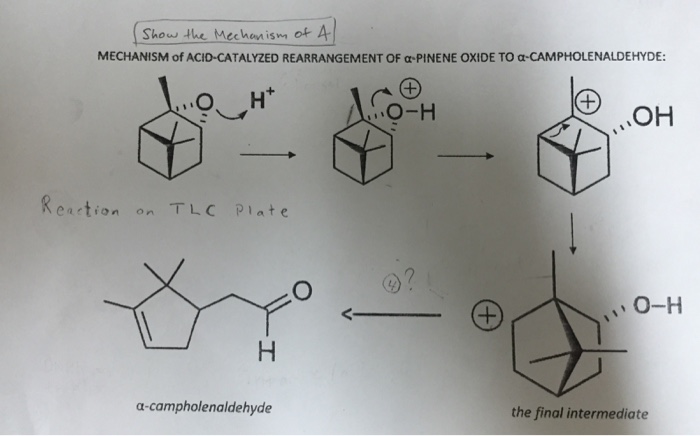 Solved Mechanism of Acid-Catalyzed rearrangement of | Chegg.com