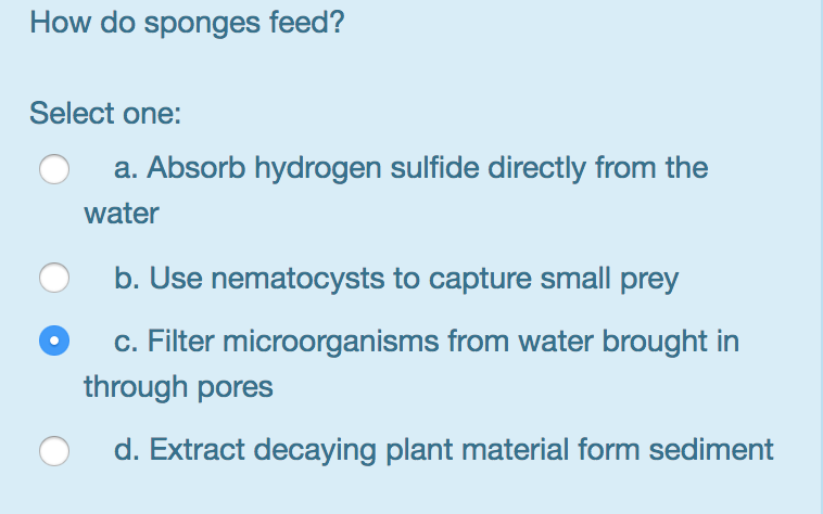 Solved How do sponges feed? Select one: a. Absorb hydrogen | Chegg.com
