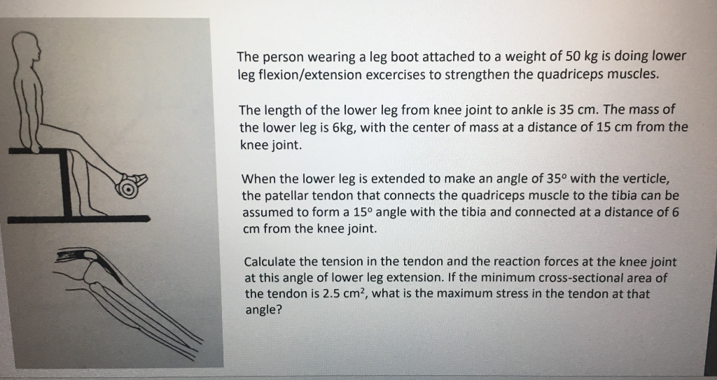 Solved The person wearing a leg boot attached to a weight of | Chegg.com