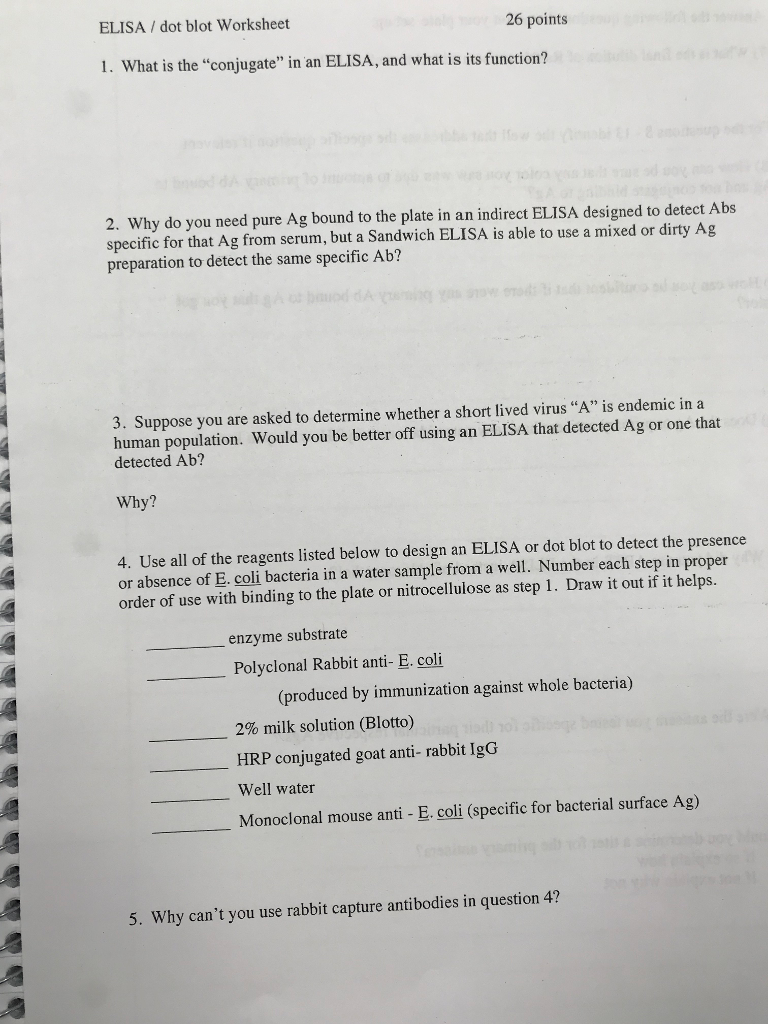 Solved ELISA / dot blot Worksheet 26 points 1. What is the | Chegg.com
