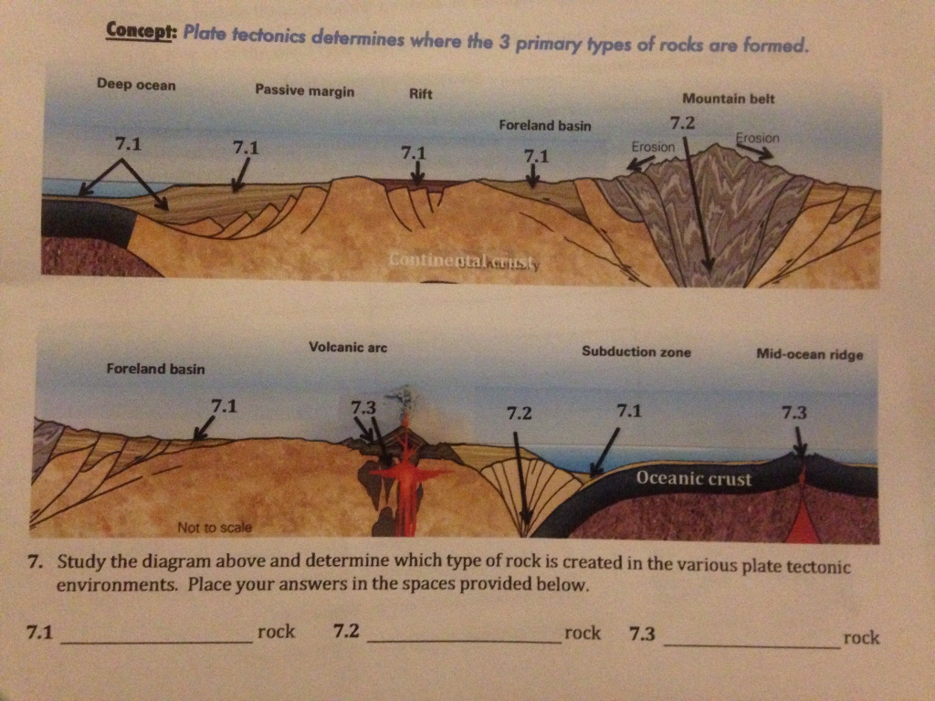 Solved Concept: Plate tectonics determines where the 3 | Chegg.com