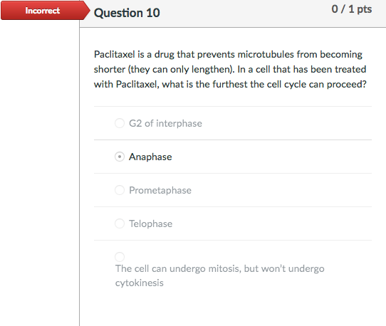 Solved Incorrect 0 1 pts Question 5 What is the ploidy of | Chegg.com