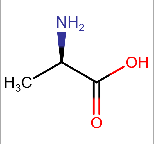Solved How to draw L-alanine? The following are both marked | Chegg.com