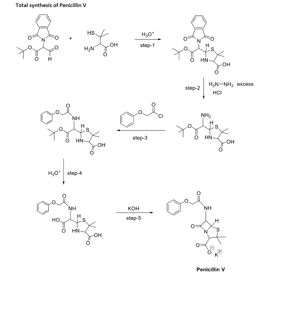 Solved Propose a mechanism for each step (1-5) of the | Chegg.com