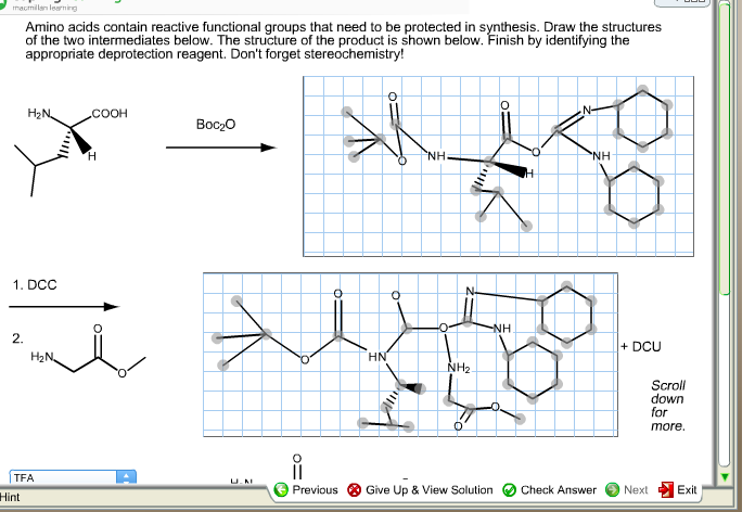 Solved Amino acids contain reactive functional groups that | Chegg.com