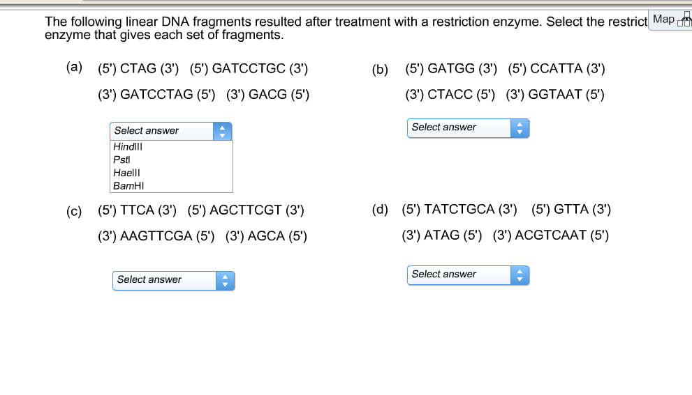 Solved The following linear DNA fragments resulted after | Chegg.com