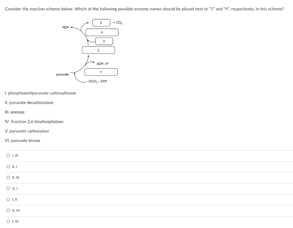 Solved Consider the reaction scheme below. Which of the | Chegg.com