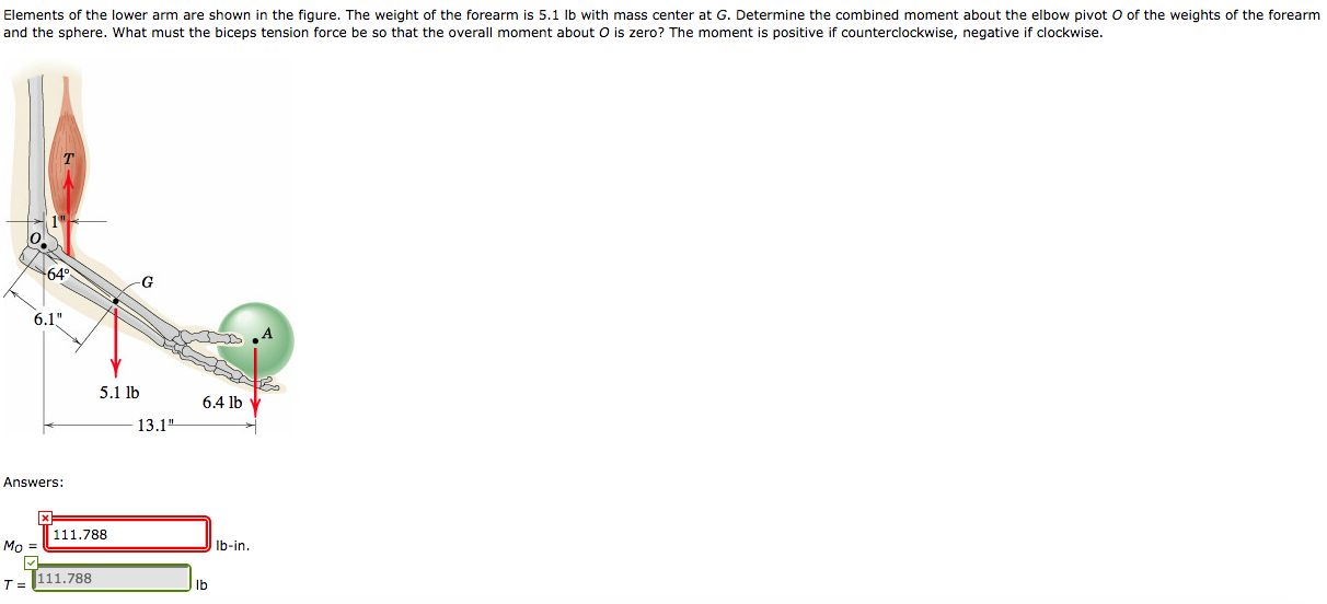 Solved Elements of the lower arm are shown in the figure. | Chegg.com