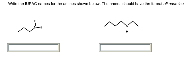 Solved Write the IUPAC names for the amines shown below. The | Chegg.com