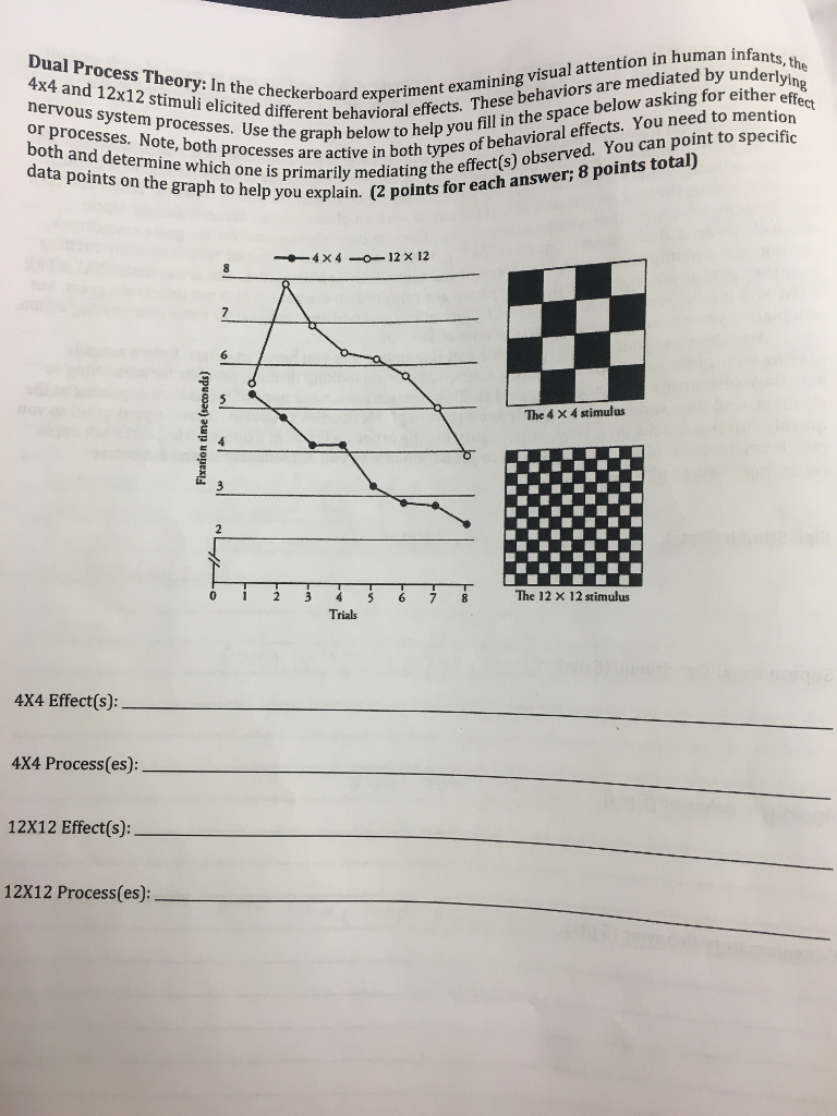 Dual Process Theory: In the checkerboard experinef | Chegg.com