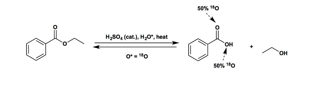 Solved H2SO4 (cat.), H20 heat O* 18o 50% 18O OH 50% 18o OH | Chegg.com
