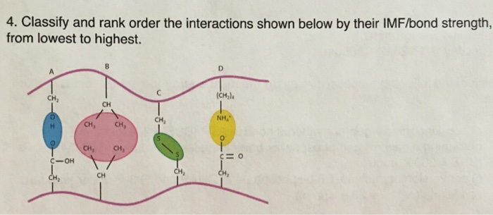 Solved Classify and rank order the interactions shown below | Chegg.com