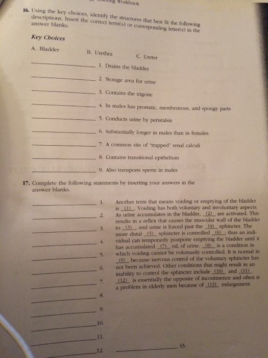 Solved Chapter 15 The Urinary system 313 13. By what three | Chegg.com