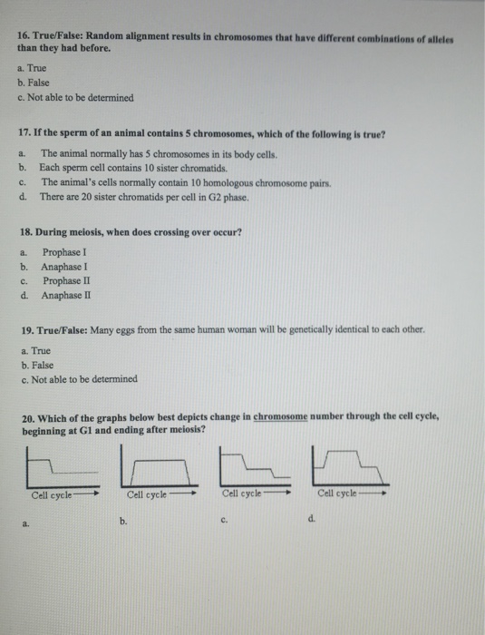 Solved True/False: Random alignment results in chromosomes | Chegg.com