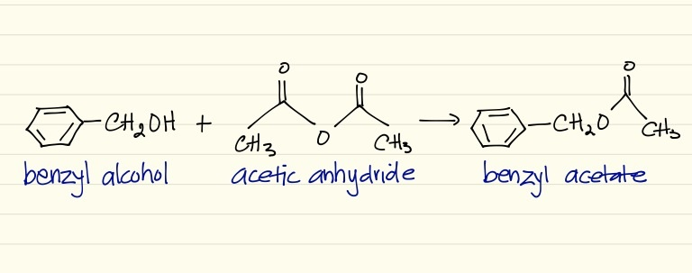 Solved Please draw the mechanism for the following reaction | Chegg.com