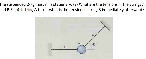 Solved The suspended 2-kg mass m is stationary. What are | Chegg.com
