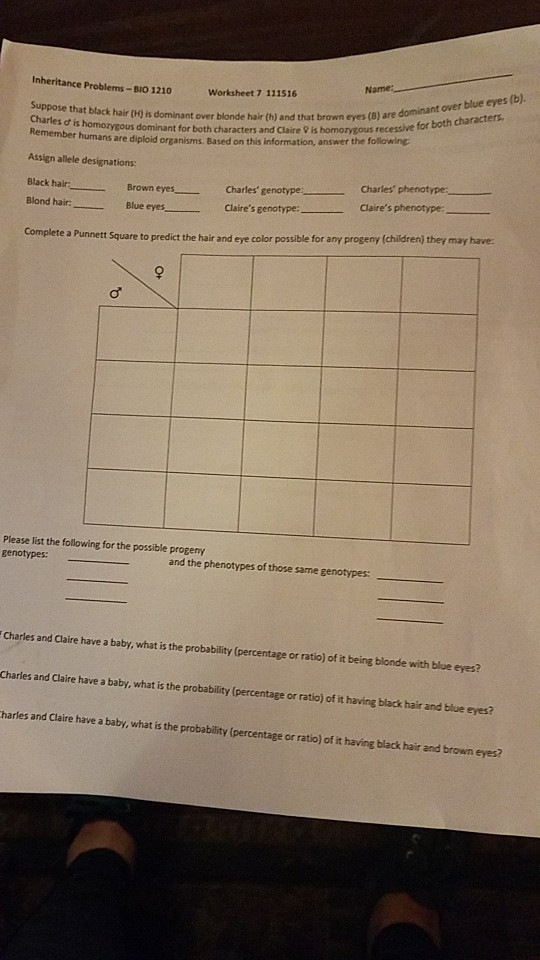 Solved Inheritance Problems-BIO 1210 Name: Worksheet 7 | Chegg.com