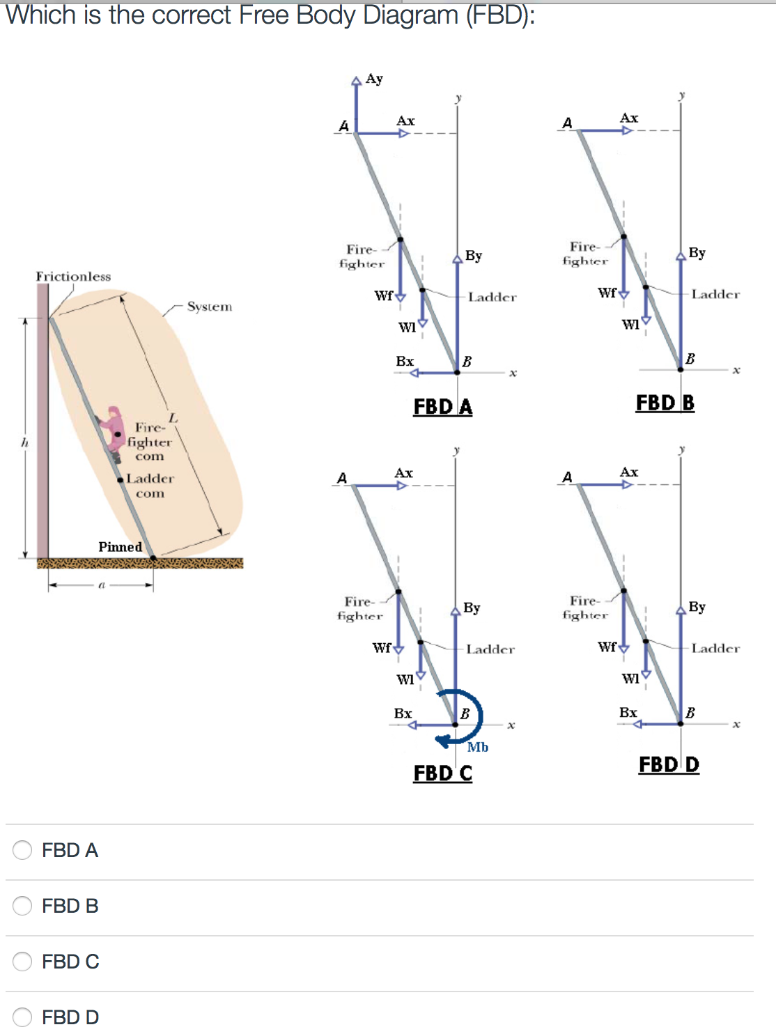 Solved Which is the correct Free Body Diagram (FBD): FBD A | Chegg.com