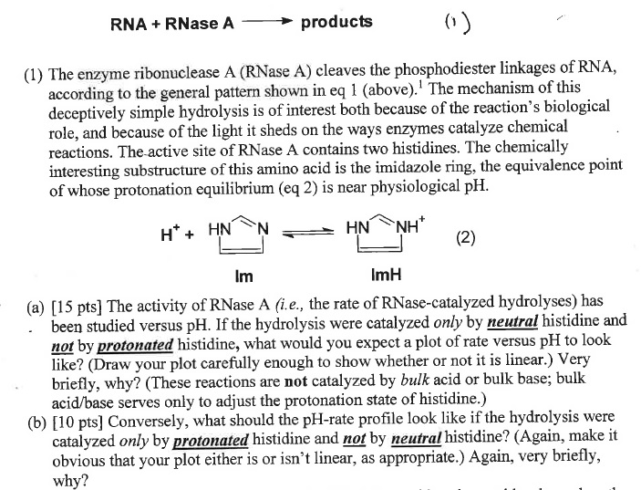 RNA + RNase A--+ products (1) The enzyme ribonuclease | Chegg.com