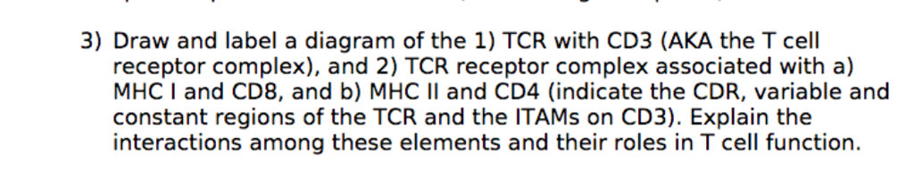 Solved 3) Draw and label a diagram of the 1) TCR with CD3 | Chegg.com