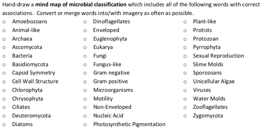 Solved Hand-draw a mind map of microbial classification | Chegg.com