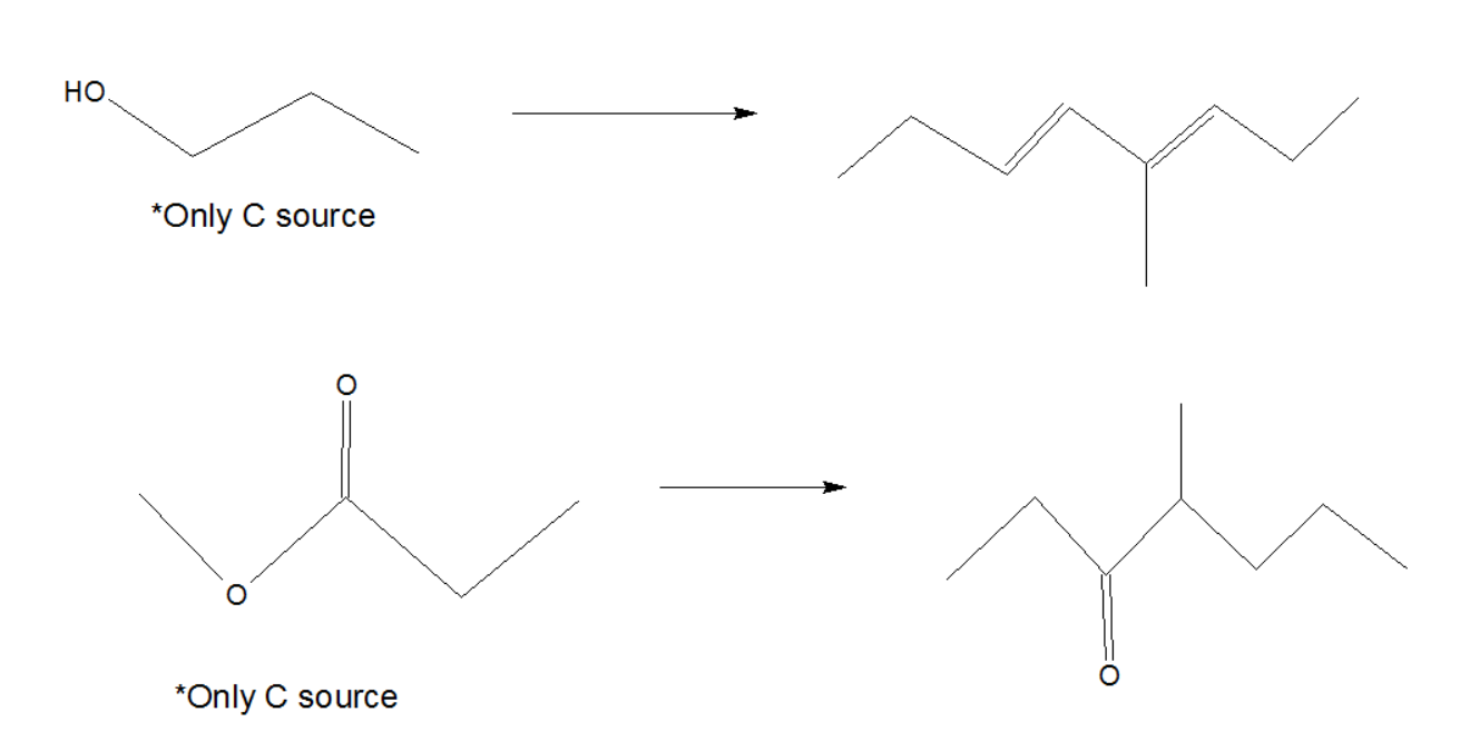 Solved 2 Organic Chemistry Synthesis Problems - C atoms | Chegg.com