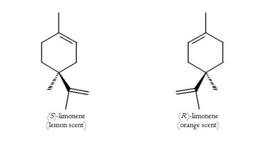 Solved imonene, a compound synthesized by plants, is | Chegg.com