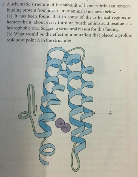 Solved 3. A schematic structure of the subunit of | Chegg.com