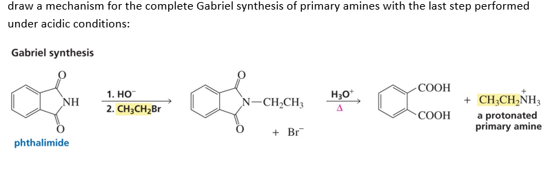 Solved Draw a mechanism for the complete Gabriel synthesis | Chegg.com