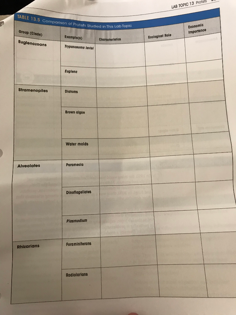 Solved LAB TOPIC 13 Protists TABLE 13. 5 Comparison of | Chegg.com