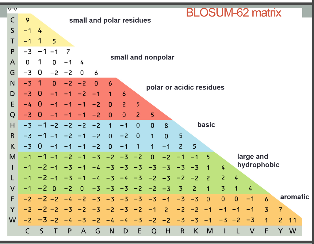 Consider the alignments below of the sequences | Chegg.com