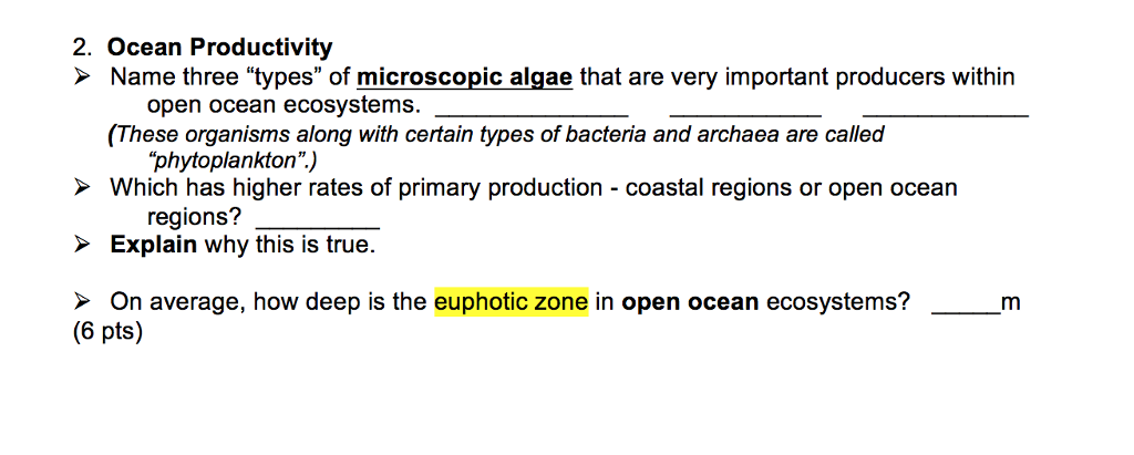 Solved Ocean Productivity Name three "types" of microscopic | Chegg.com