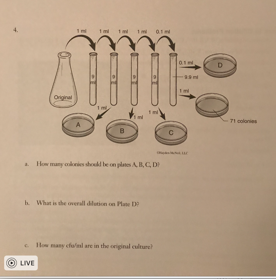 Solved 1 ml 1 ml 1 ml 1 ml 0.1 ml 0.1 ml 9.9 ml ml 1 ml 1 ml | Chegg.com