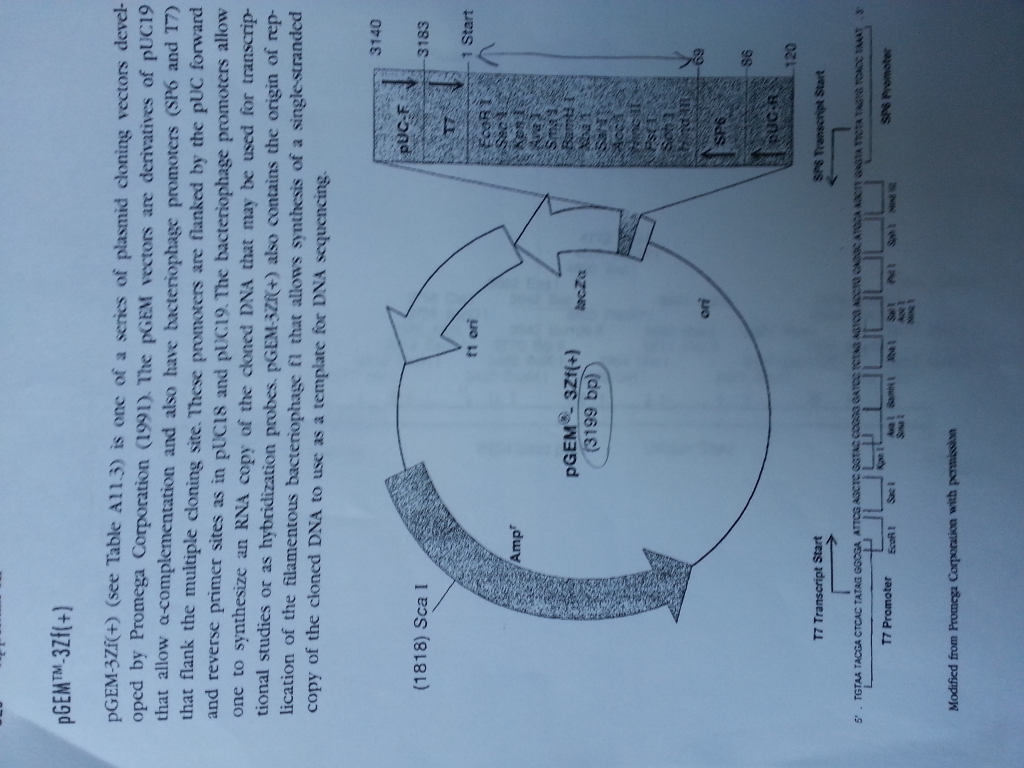 Solved Please help me with this question: Draw a | Chegg.com