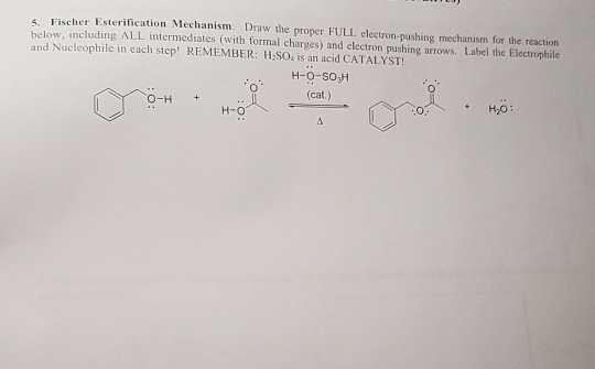 Solved 5. Fischer Esterification Mechanism Draw the proper | Chegg.com