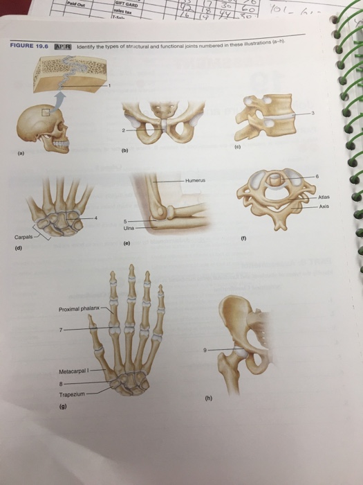 Solved PART B: Assessments Identify the types of structural | Chegg.com