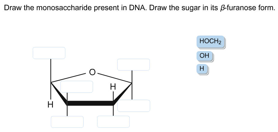 Solved Draw the monosaccharide present in DNA. Draw the | Chegg.com