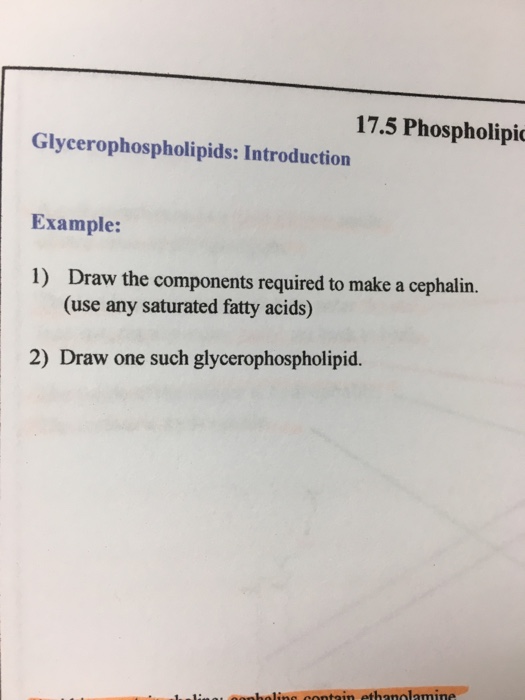Solved Draw the components required to make a cephalin. (use | Chegg.com