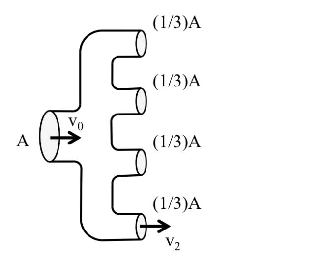 Solved The same fluid flows through four different branching | Chegg.com